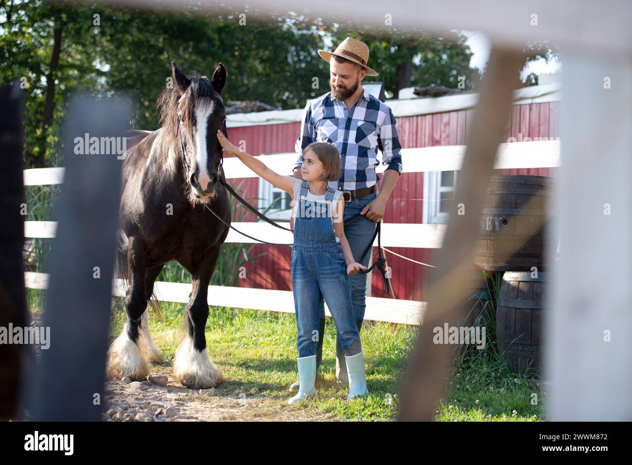Father and young daughter taking care of a horse on a farm, leading it ...