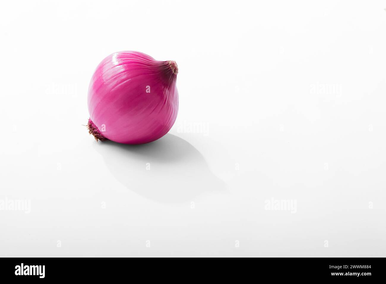 Onion vegetable featured in a fine-art creative project with a unique ...