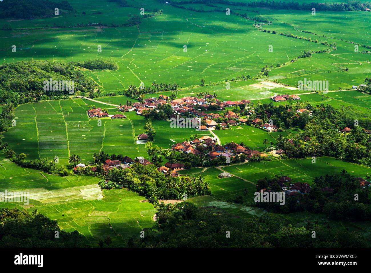 Village houses near rice fields, Sukabumi, west java, Indonesia Stock ...