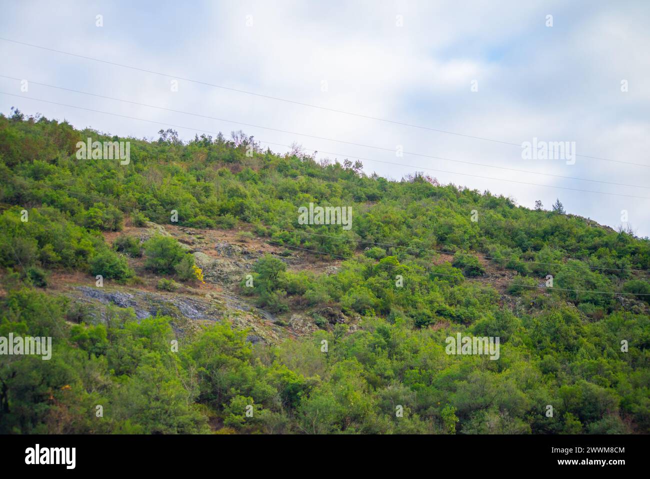 On the mountain slopes, bushes thrive, adding a touch of greenery to ...