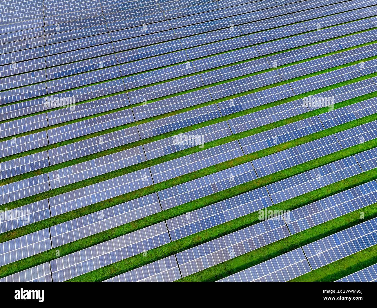Solar farm and sun light. Solar power for green energy. Sustainable ...