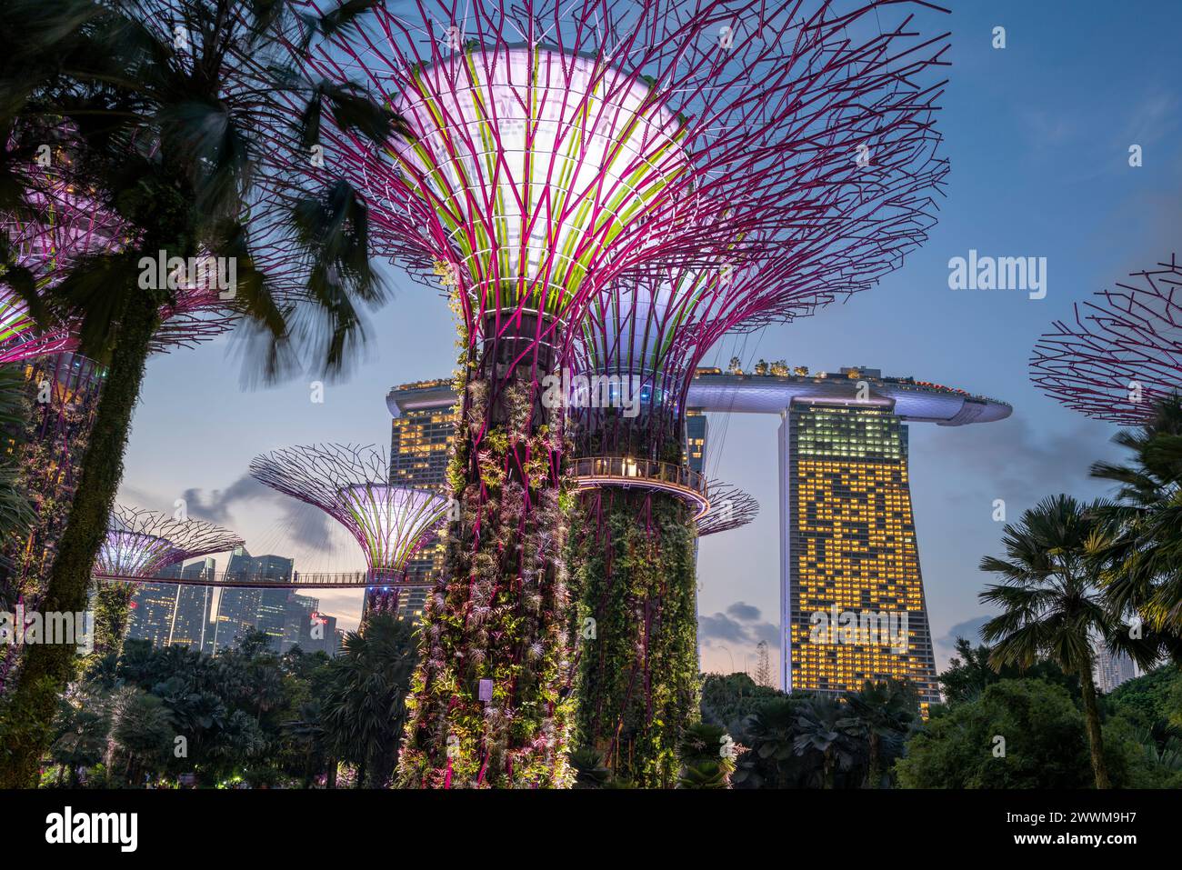 Singapore 25. February 2024 : Gardens by the Bay with the Super Trees ...