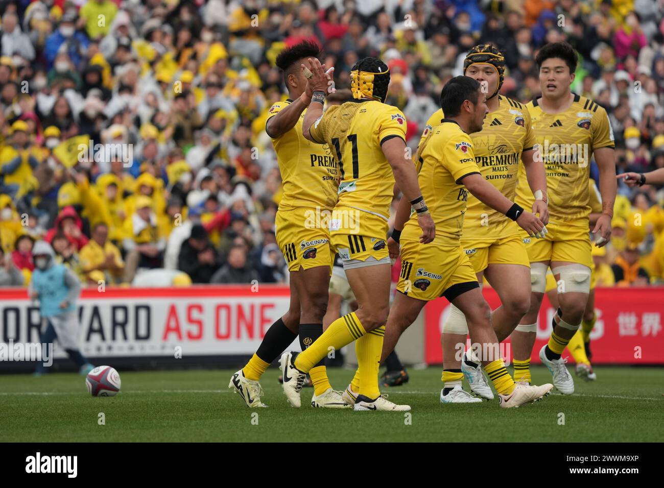 Sungoliath players celebrate scoring a try by Cheslin Kolbe during the ...