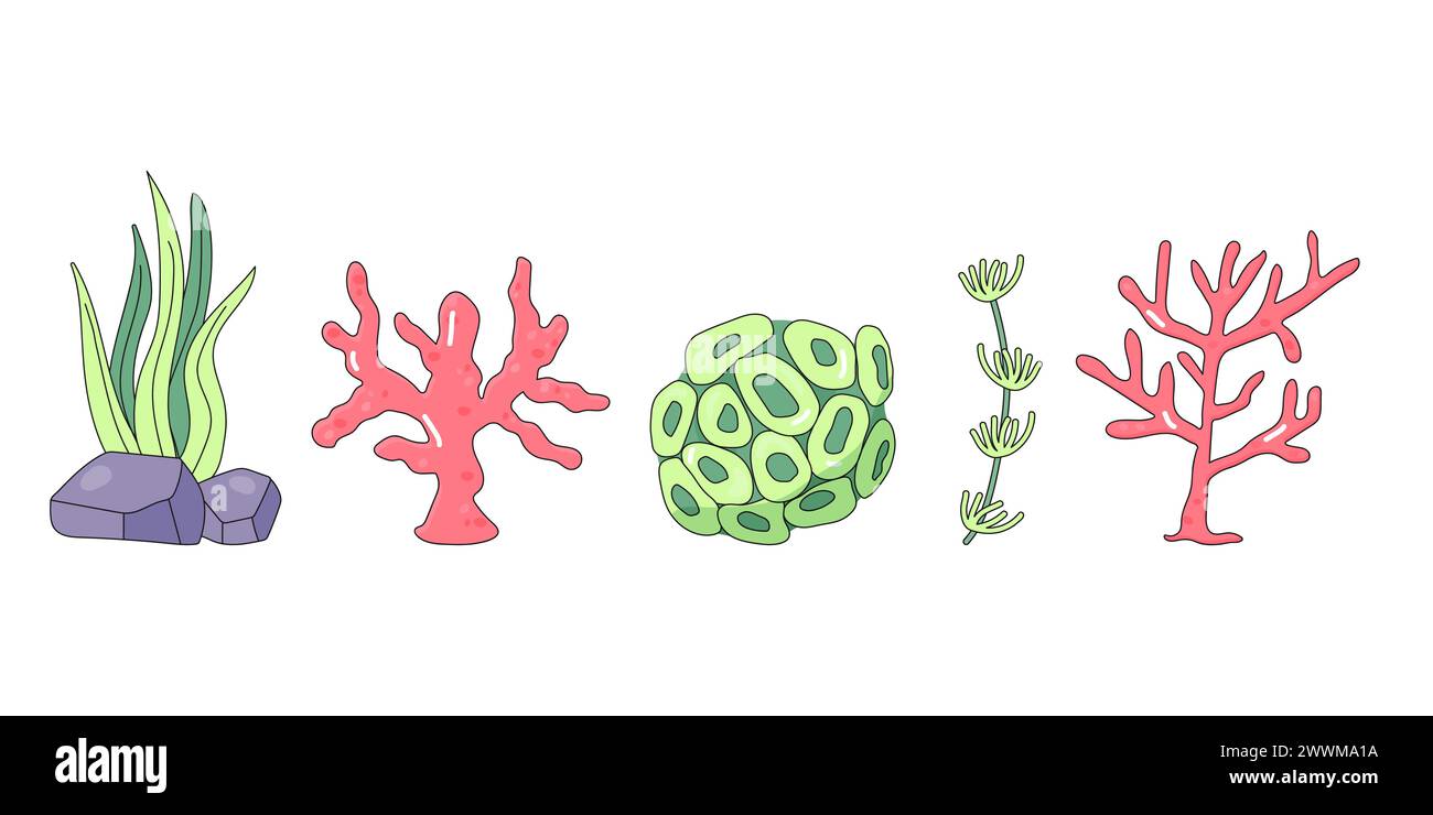 cute seaweed, coral, set on white background. Underwater world. vector ...