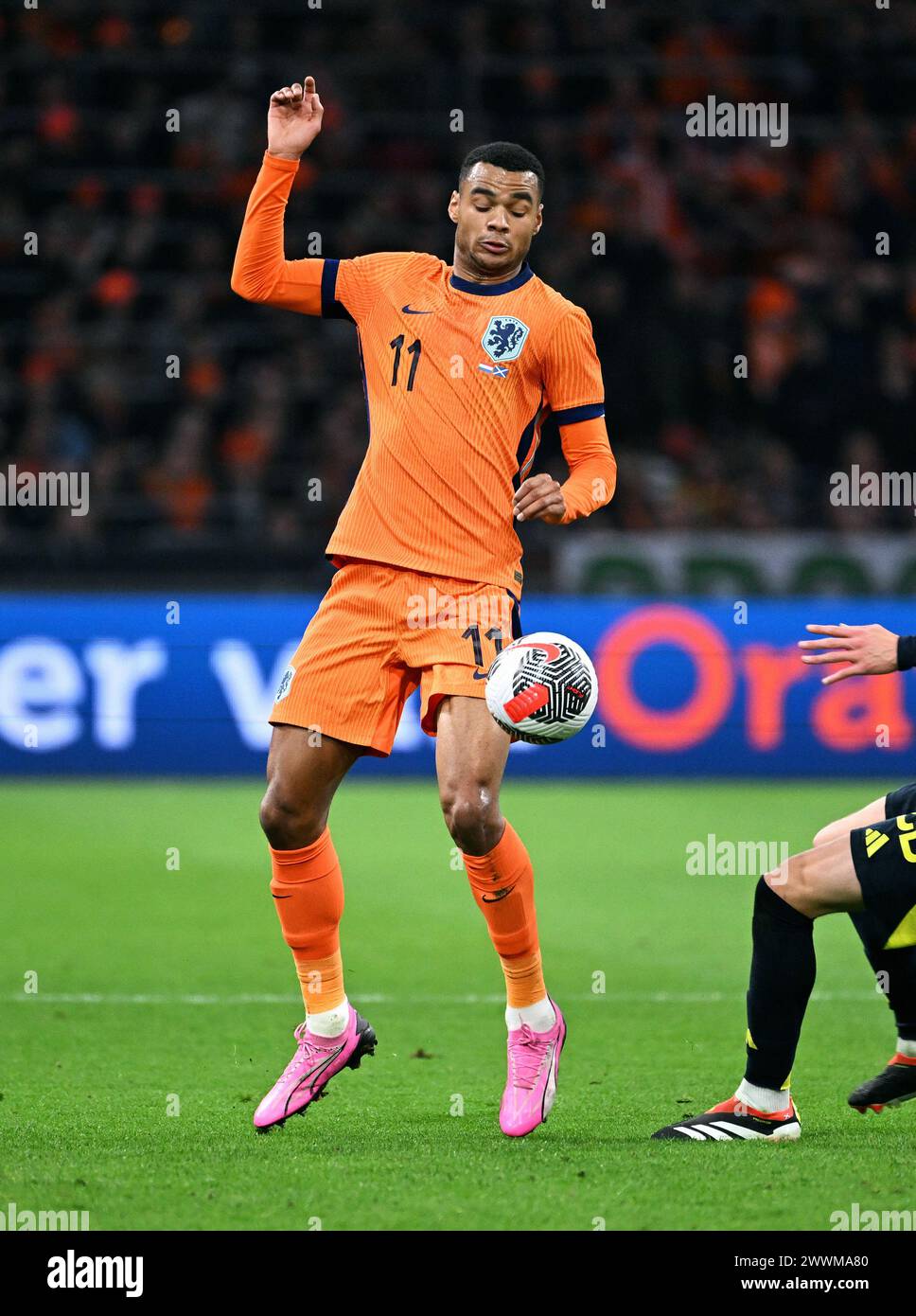 Football, international match, friendly match for Euro 2024, Amsterdam ...