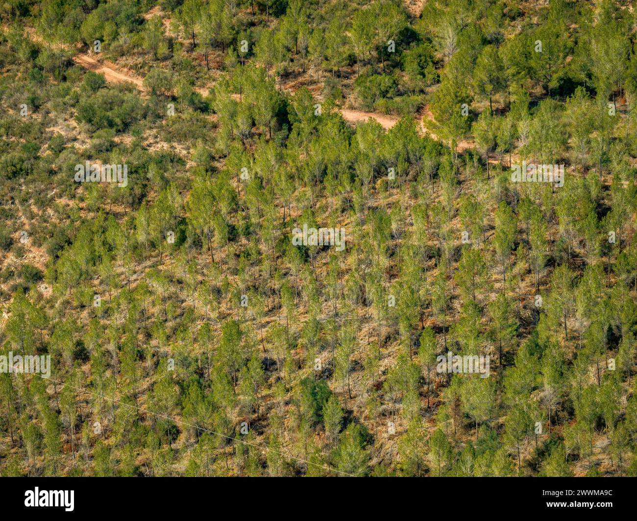 Congost del cairat hi-res stock photography and images - Alamy