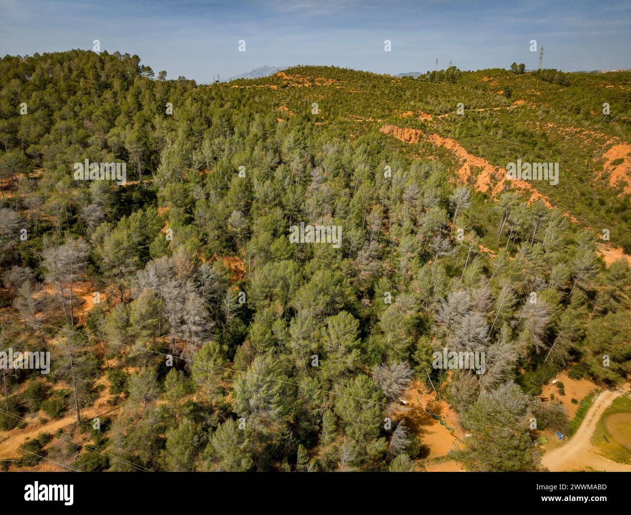 Desertification due to deforestation hi-res stock photography and ...