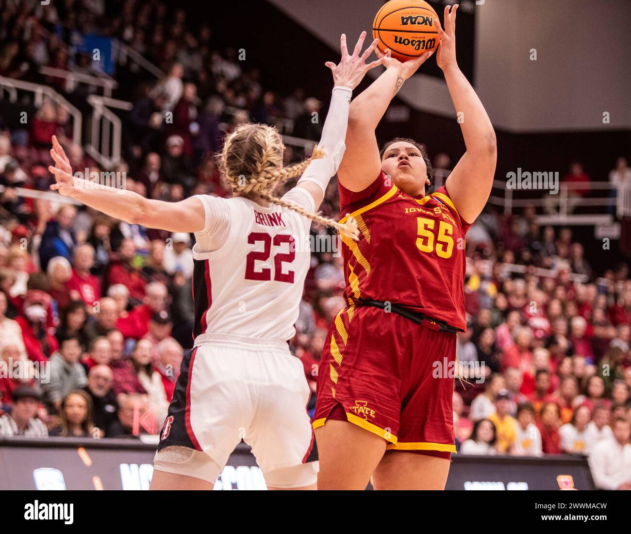 Cameron crooks hi-res stock photography and images - Alamy