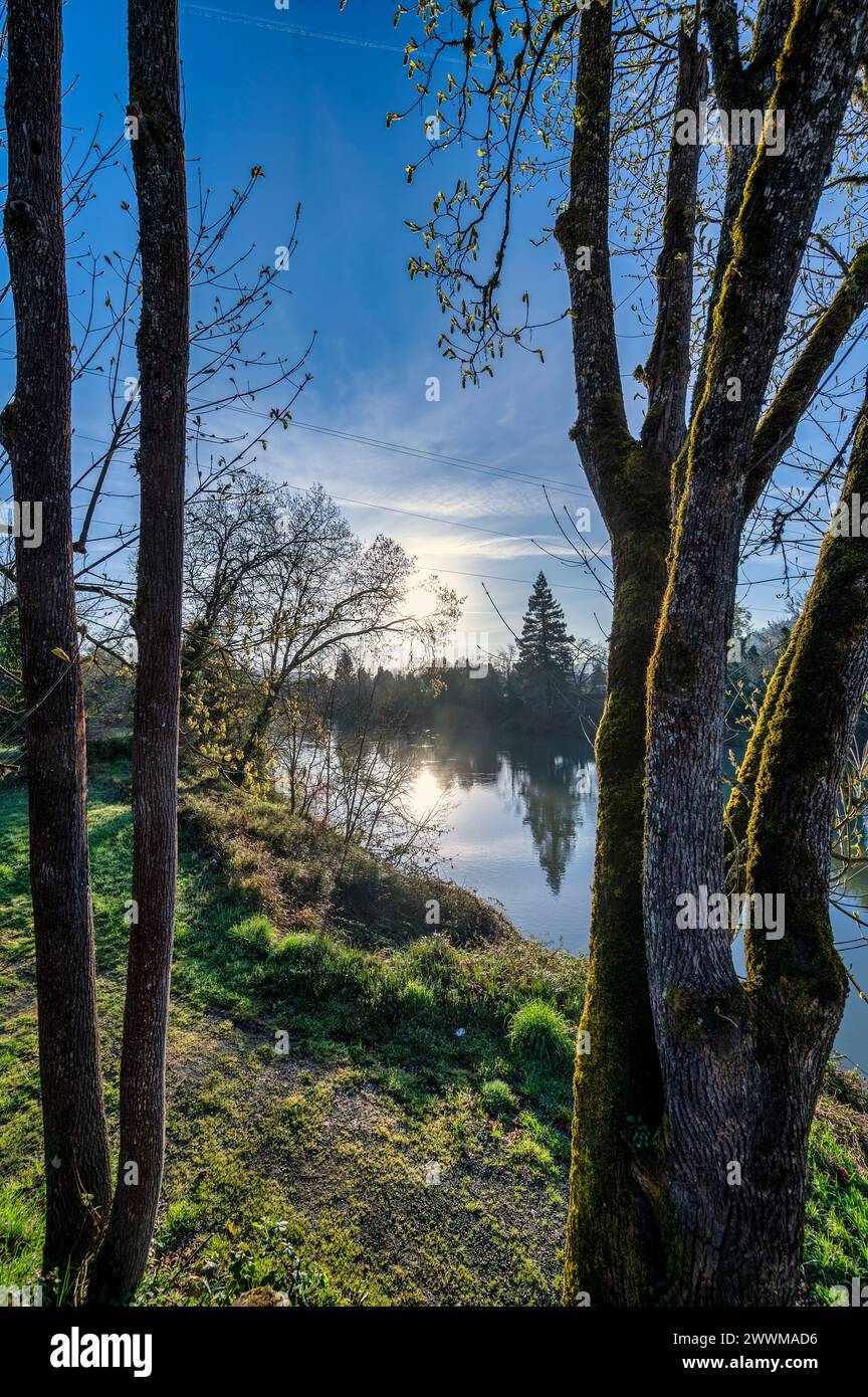 The Umpqua River running through Roseburg, Oregon, USA Stock Photo - Alamy