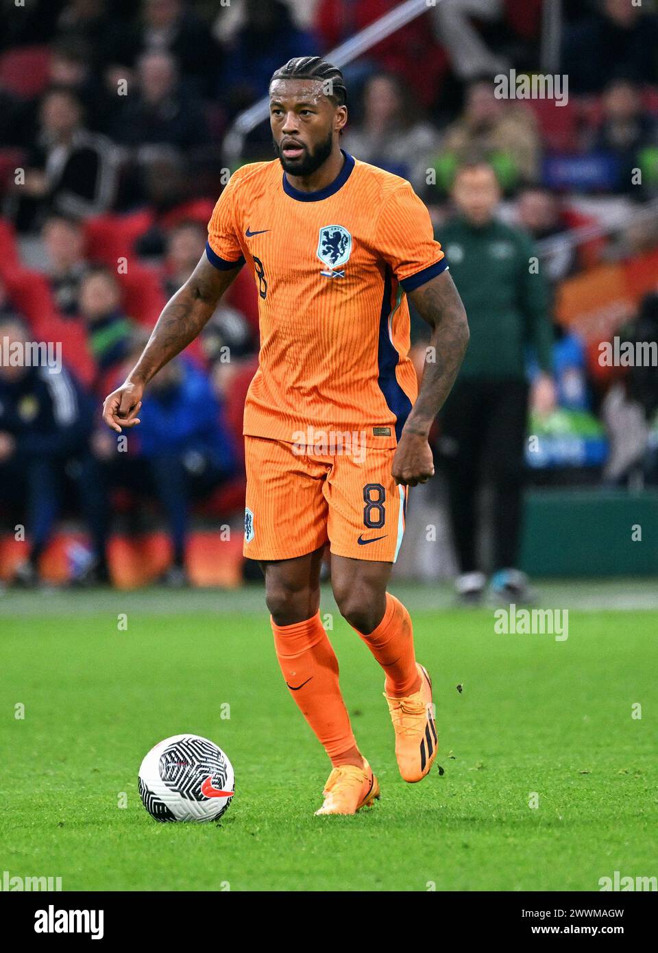 Football, international match, friendly match for Euro 2024, Amsterdam ...