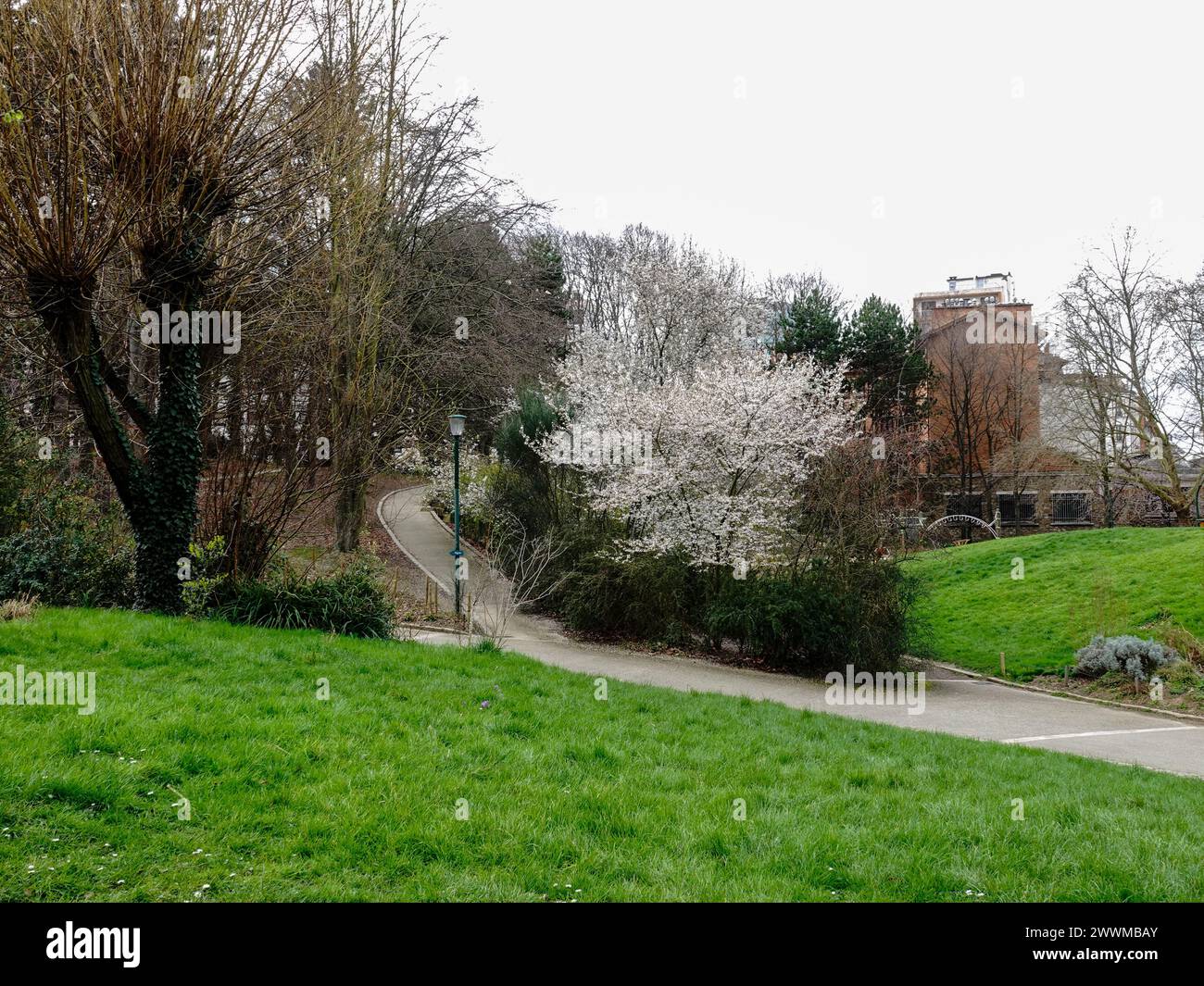 Early spring blossoms line a pathway through Parc Georges-Brassens ...