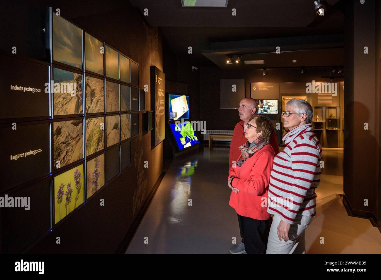 Some people visiting the interior of the Museum of Llívia (Cerdanya ...