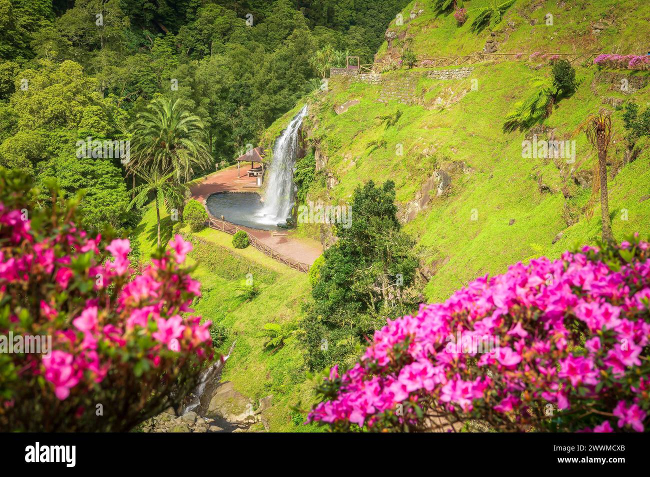 Discover the enchanting Ribeira dos Caldeiroes Park in Sao Miguel, a ...