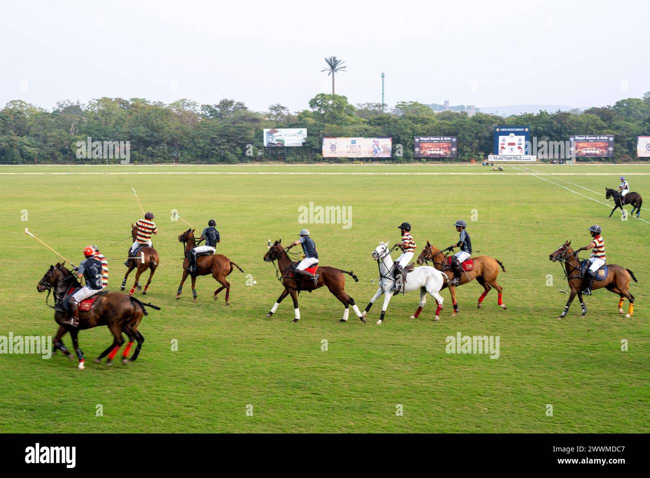 Indien, Jaipur, Rambagh, Rajasthan Polo Ground Stock Photo - Alamy