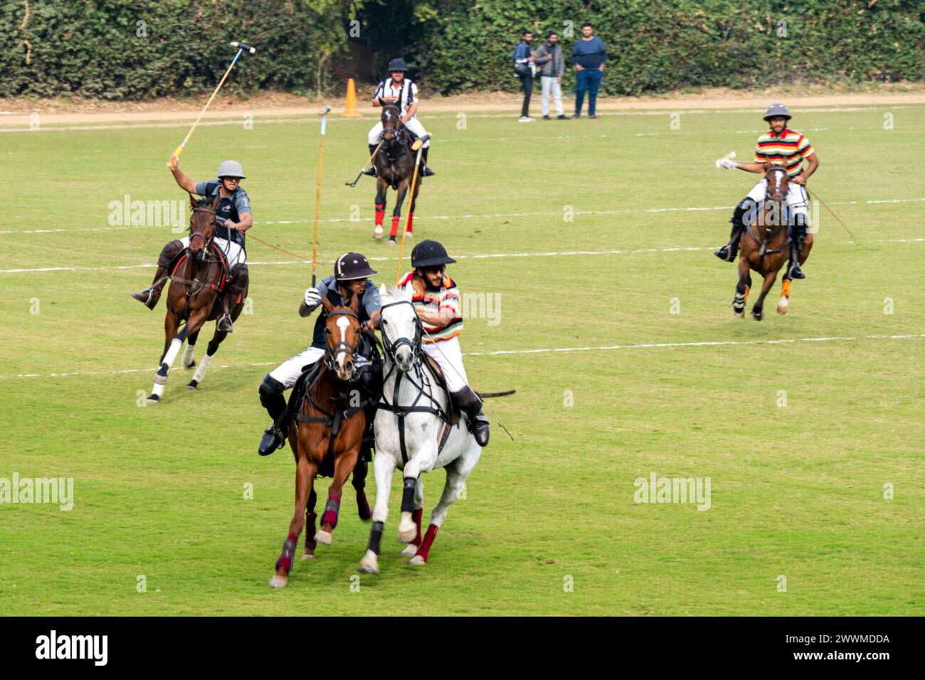 Indien, Jaipur, Rambagh, Rajasthan Polo Ground Stock Photo - Alamy