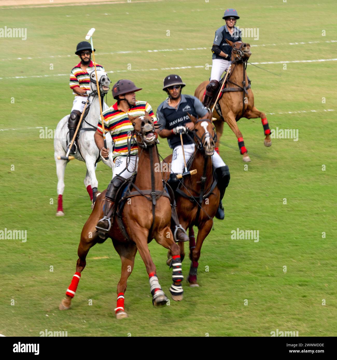 Indien, Jaipur, Rambagh, Rajasthan Polo Ground Stock Photo - Alamy