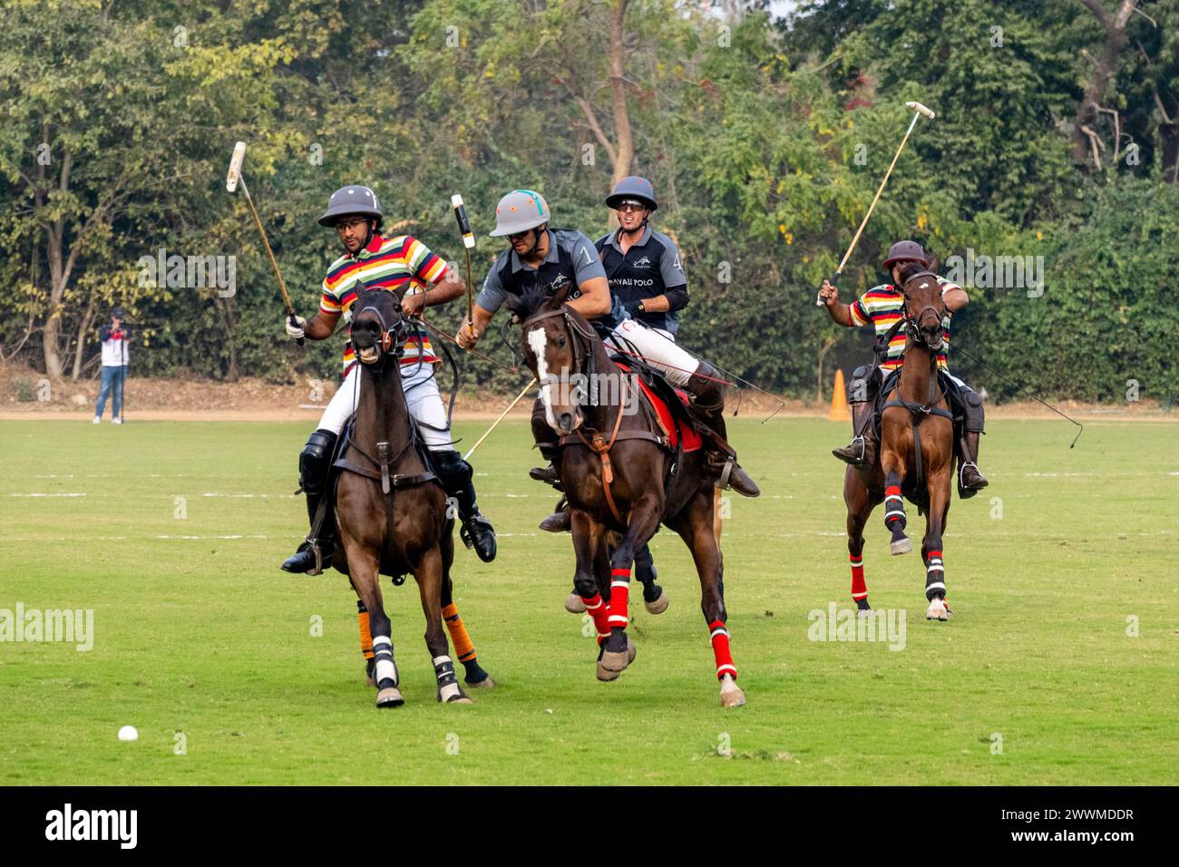 Indien, Jaipur, Rambagh, Rajasthan Polo Ground Stock Photo - Alamy