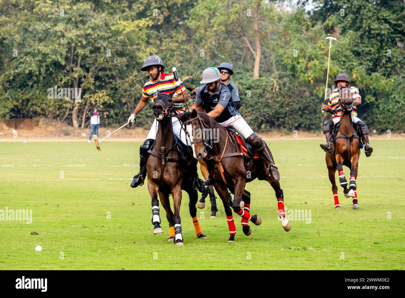 Indien, Jaipur, Rambagh, Rajasthan Polo Ground Stock Photo - Alamy