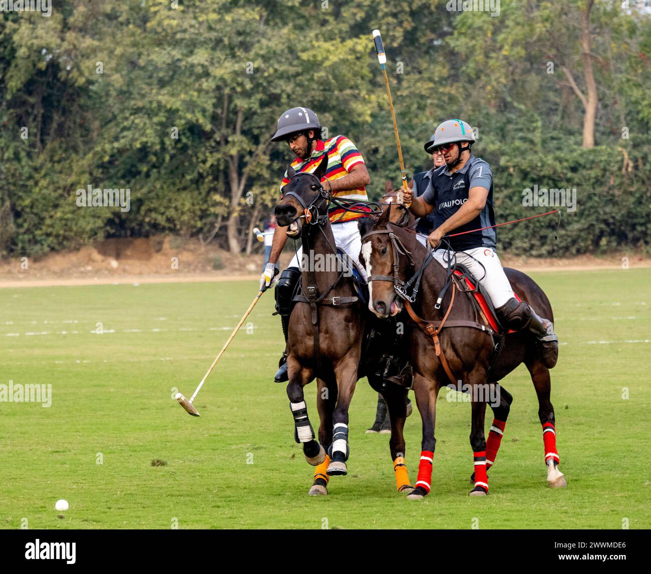 Polo ground jaipur hi-res stock photography and images - Alamy