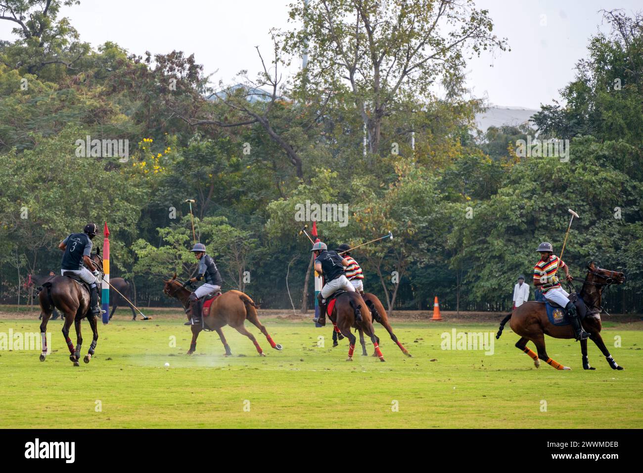Indien, Jaipur, Rambagh, Rajasthan Polo Ground Stock Photo - Alamy