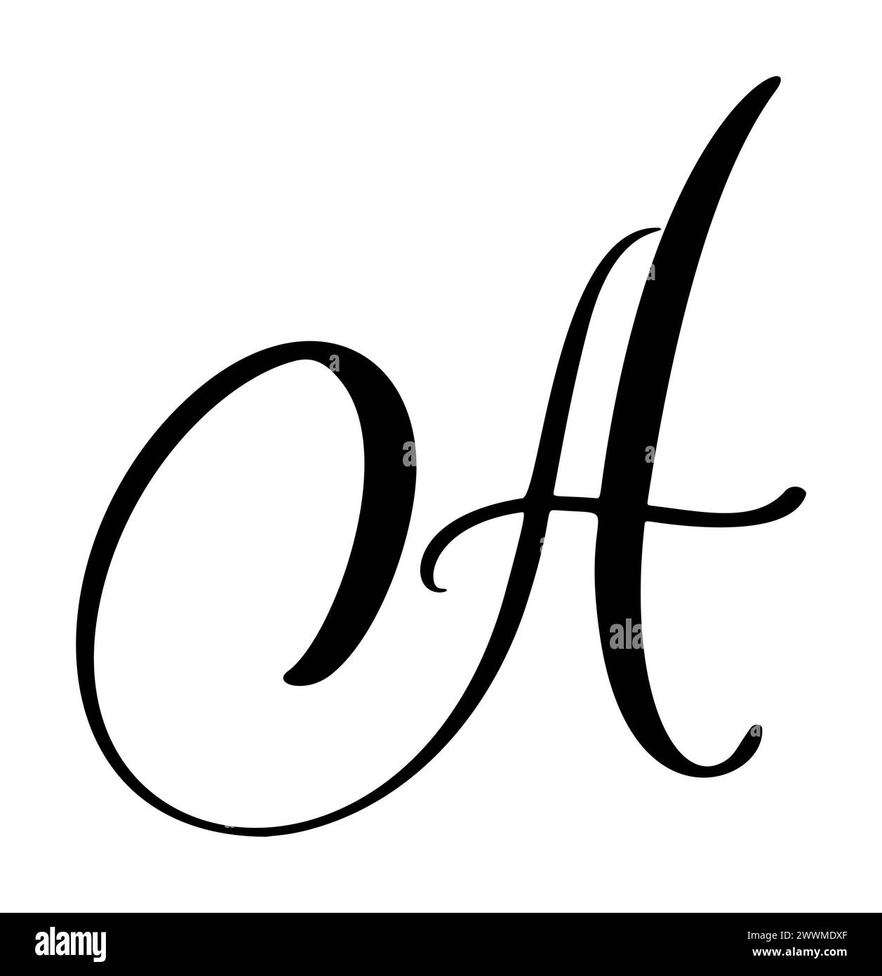 Hand drawn vector calligraphy letter A. Script font. Handwritten brush ...