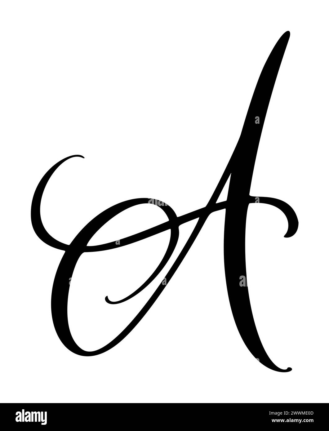 Vector calligraphy hand drawn letter A. Script font icon. Handwritten ...