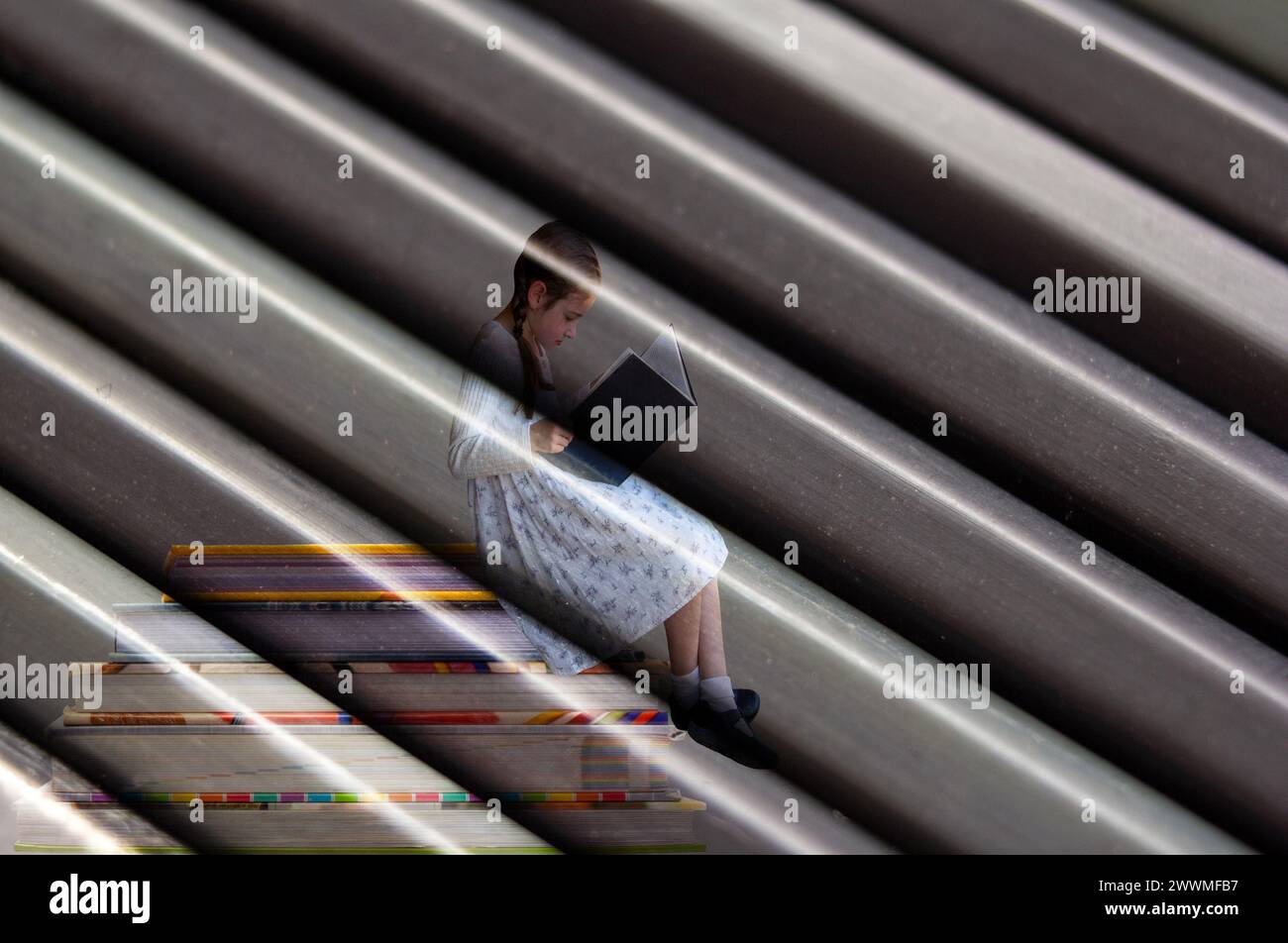 Little girl sitting on books reading, overlay on pencils double ...