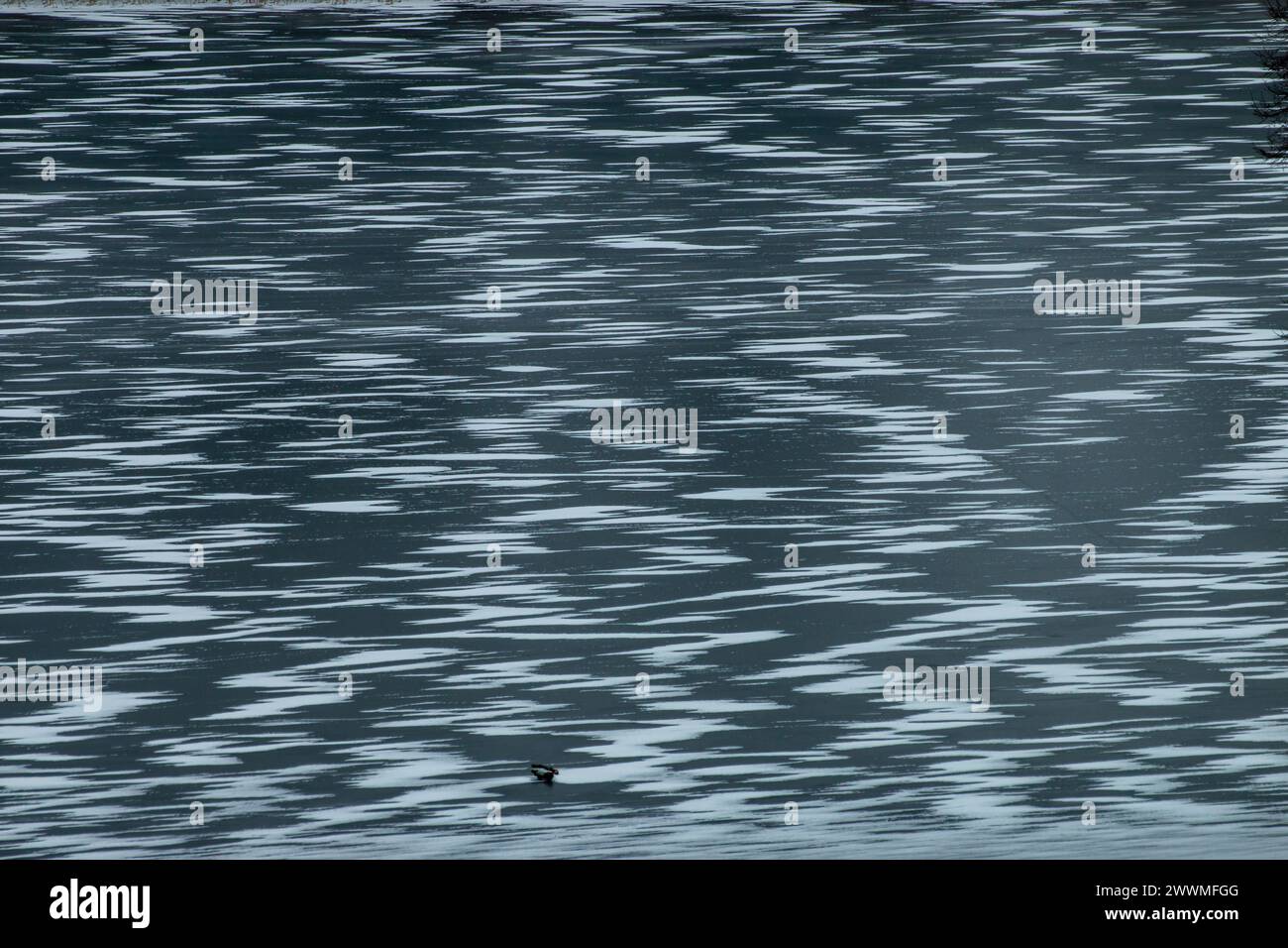 A scenic view of dark grey water with a rippling surface Stock Photo ...