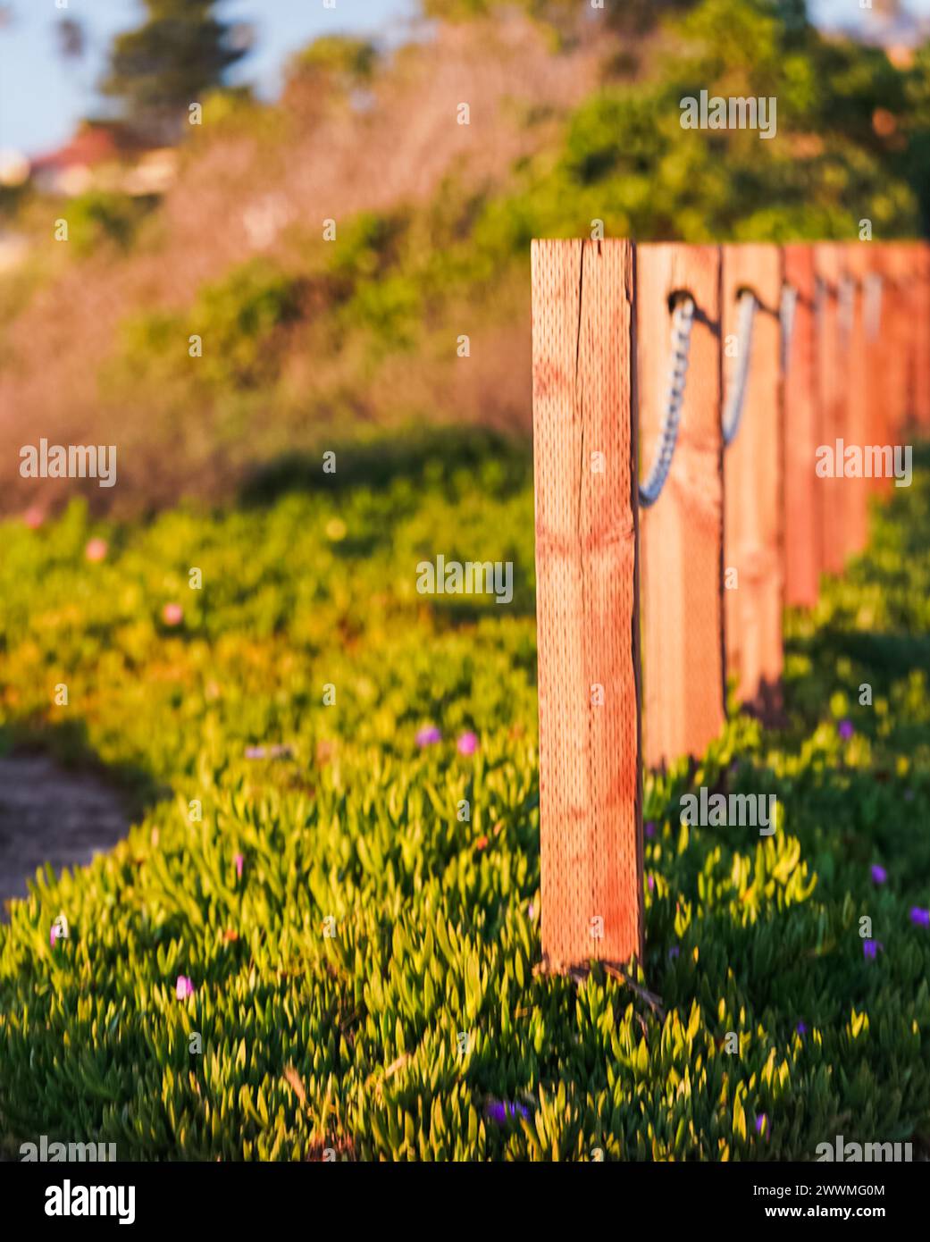 Sun shining on the beach fence Stock Photo - Alamy