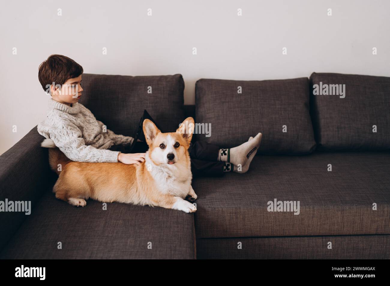 Caucasian boy preteen sofa hi-res stock photography and images - Alamy