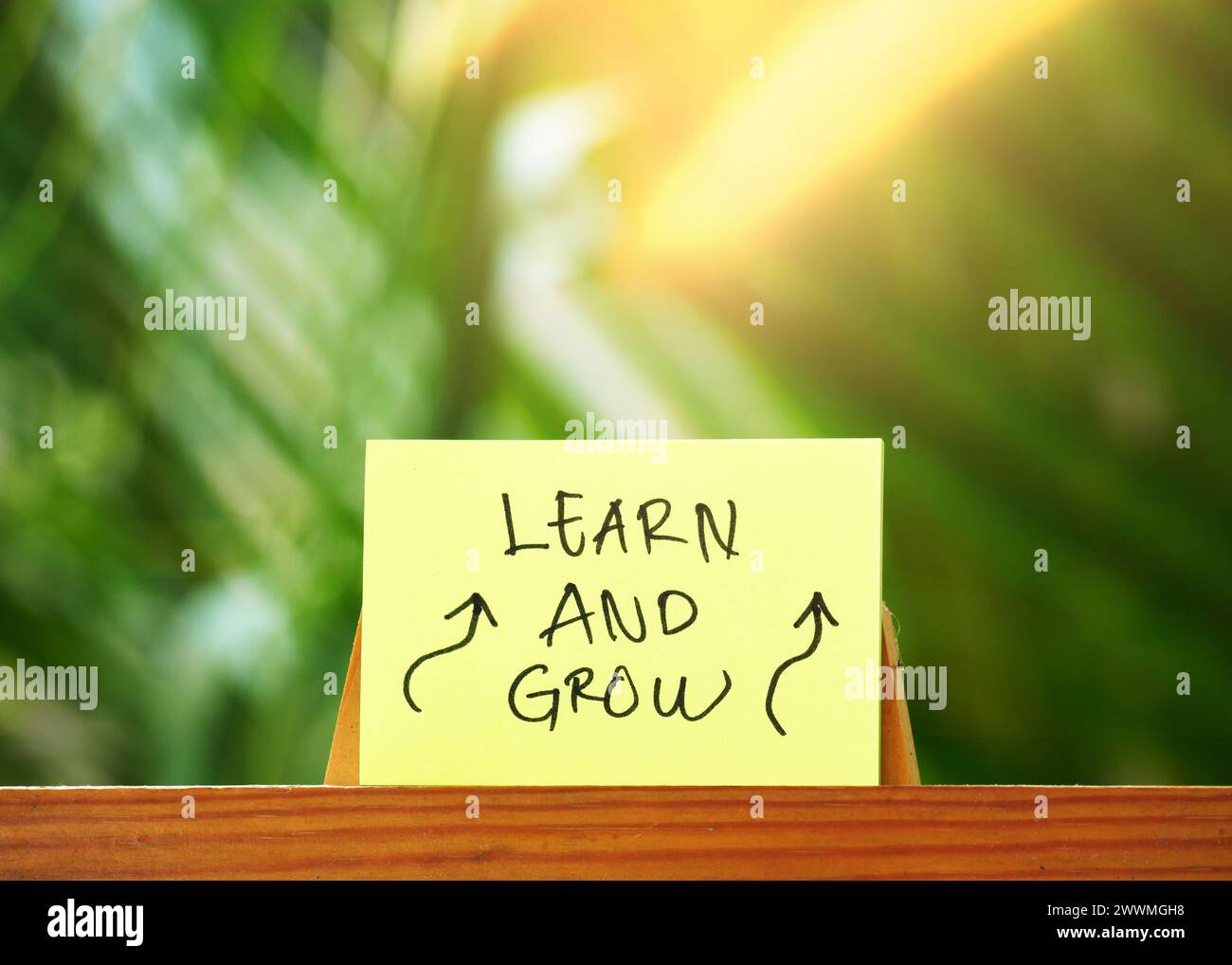 Writing learn and grow on stick notes. Word concept Learn and grow with ...