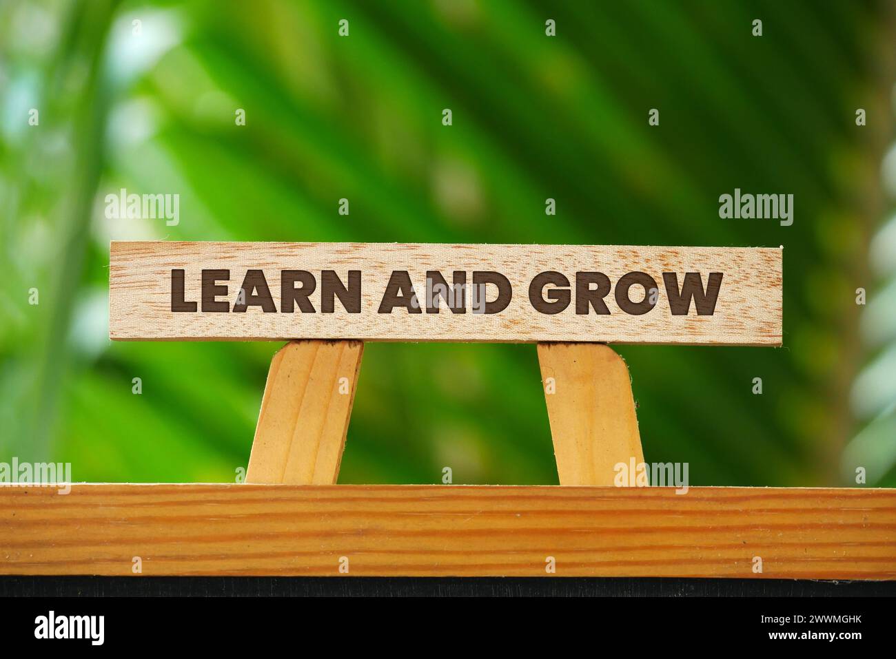 Learn and grow. Word concept Learn and grow on wooden blocks with ...