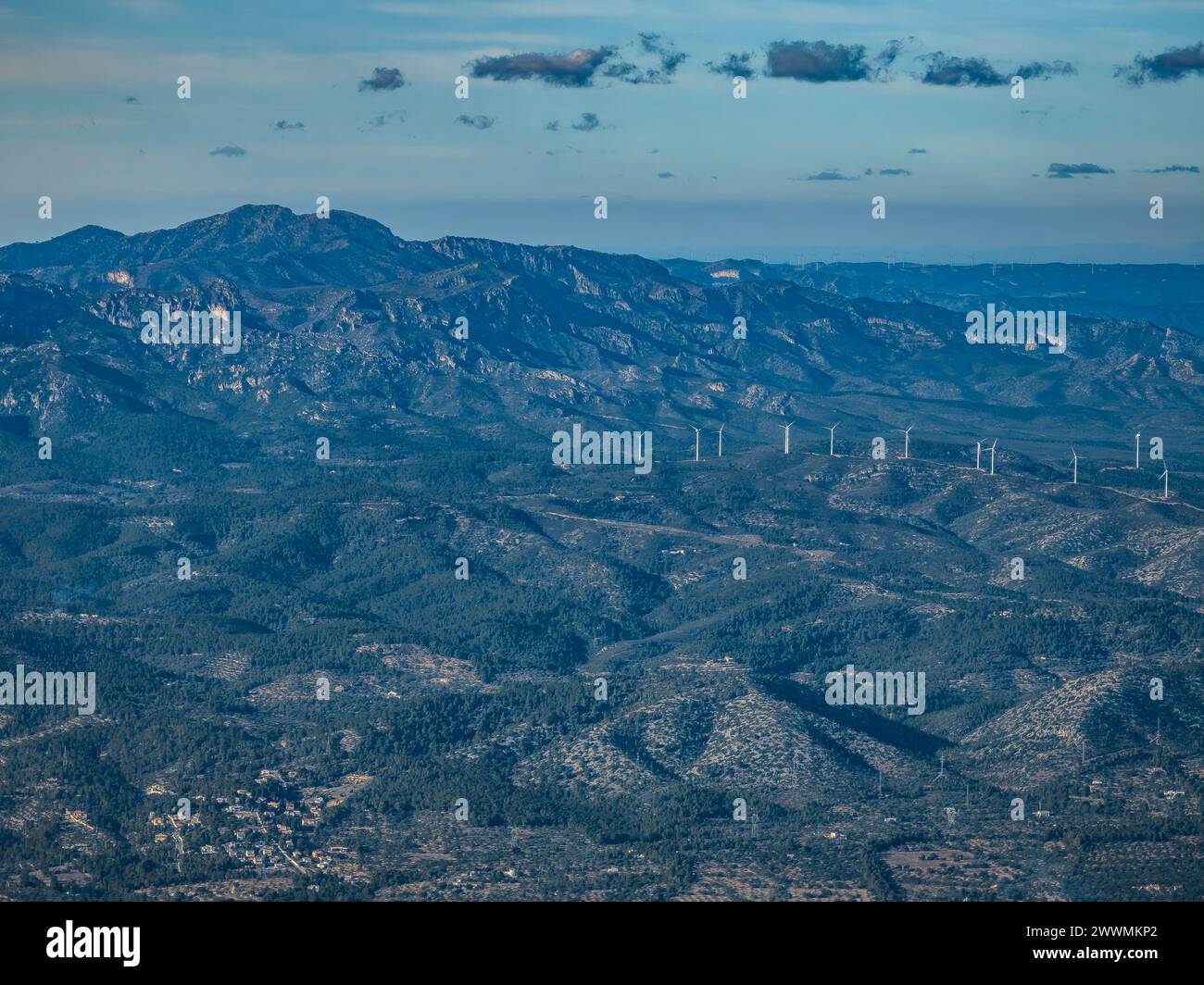 Cardo de la naturaleza hi-res stock photography and images - Alamy