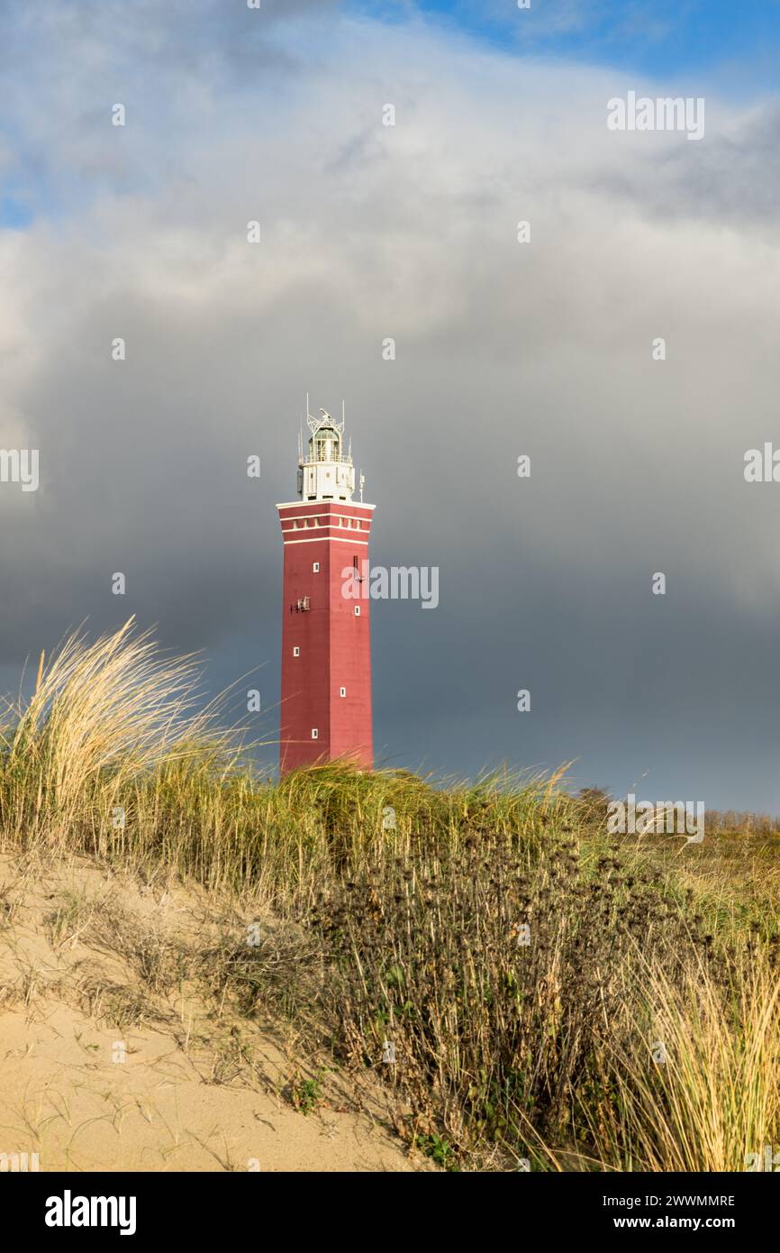 The red brick lighthouse Westhoofd standing in the sunlight under a ...