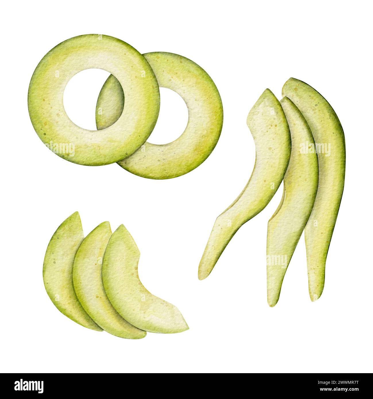 Set of slice Avocado Watercolor illustration. Hand drawn clipart on ...
