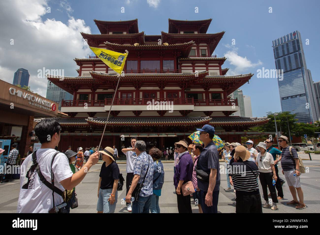 March 2024. Korean tour guide holding a yellow flag, guiding the ...