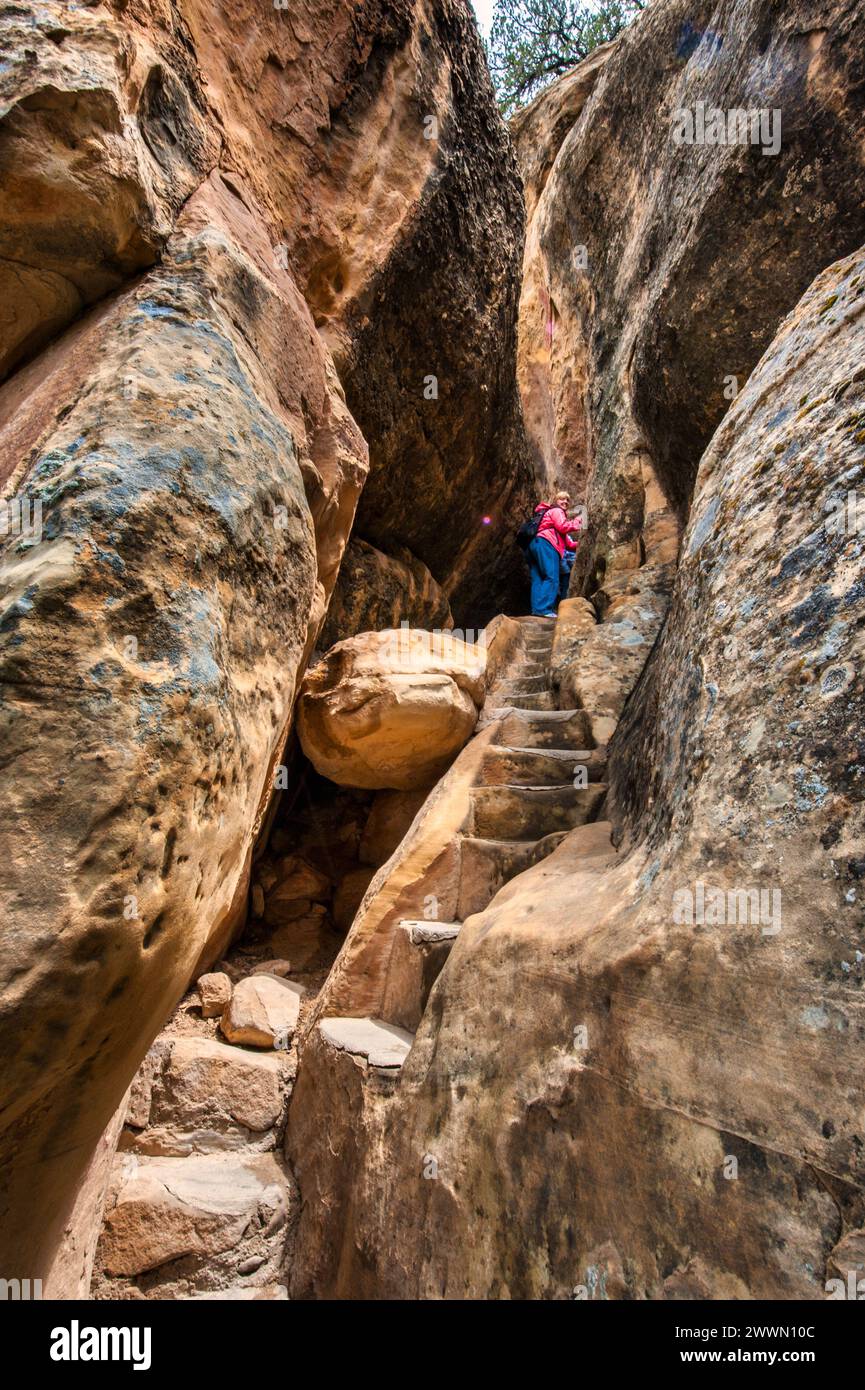 A person in a pink jacket climbs steep stone steps between giant ...