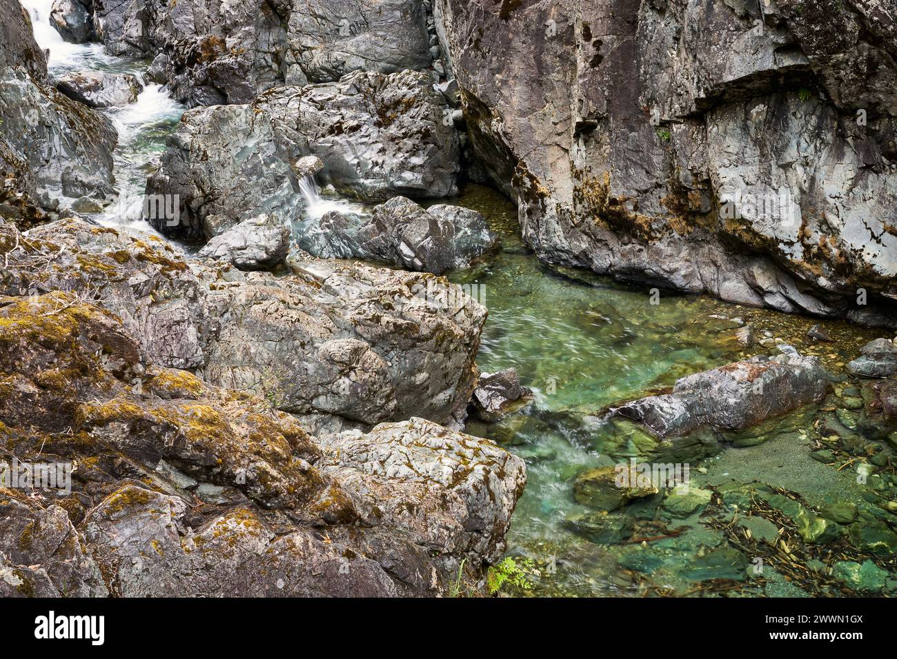 A small creek rushing between steep rocks to a bright green pool of ...