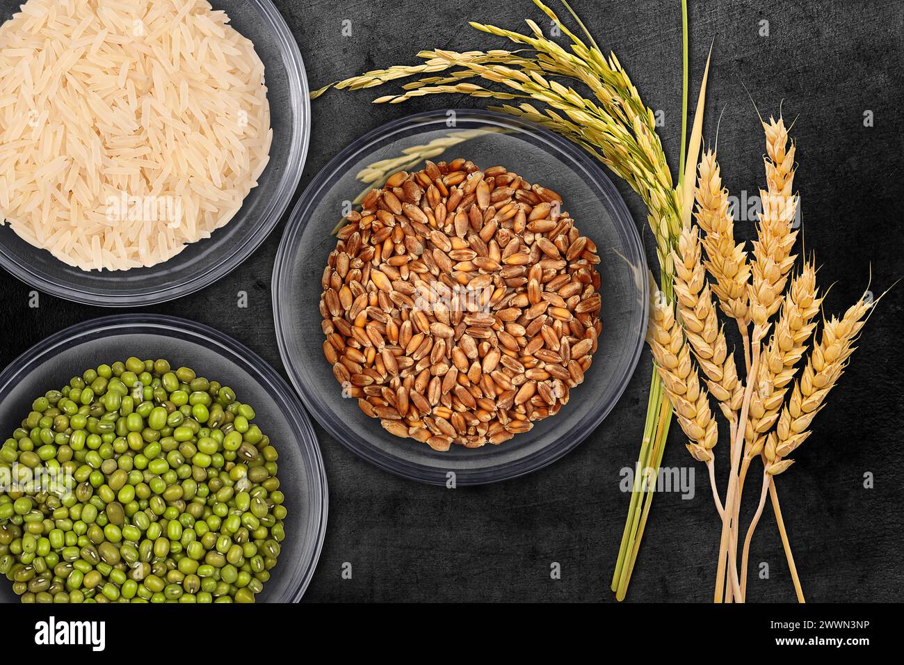 Top view of mung beans, white rice and brown wheat seeds in clear glass ...