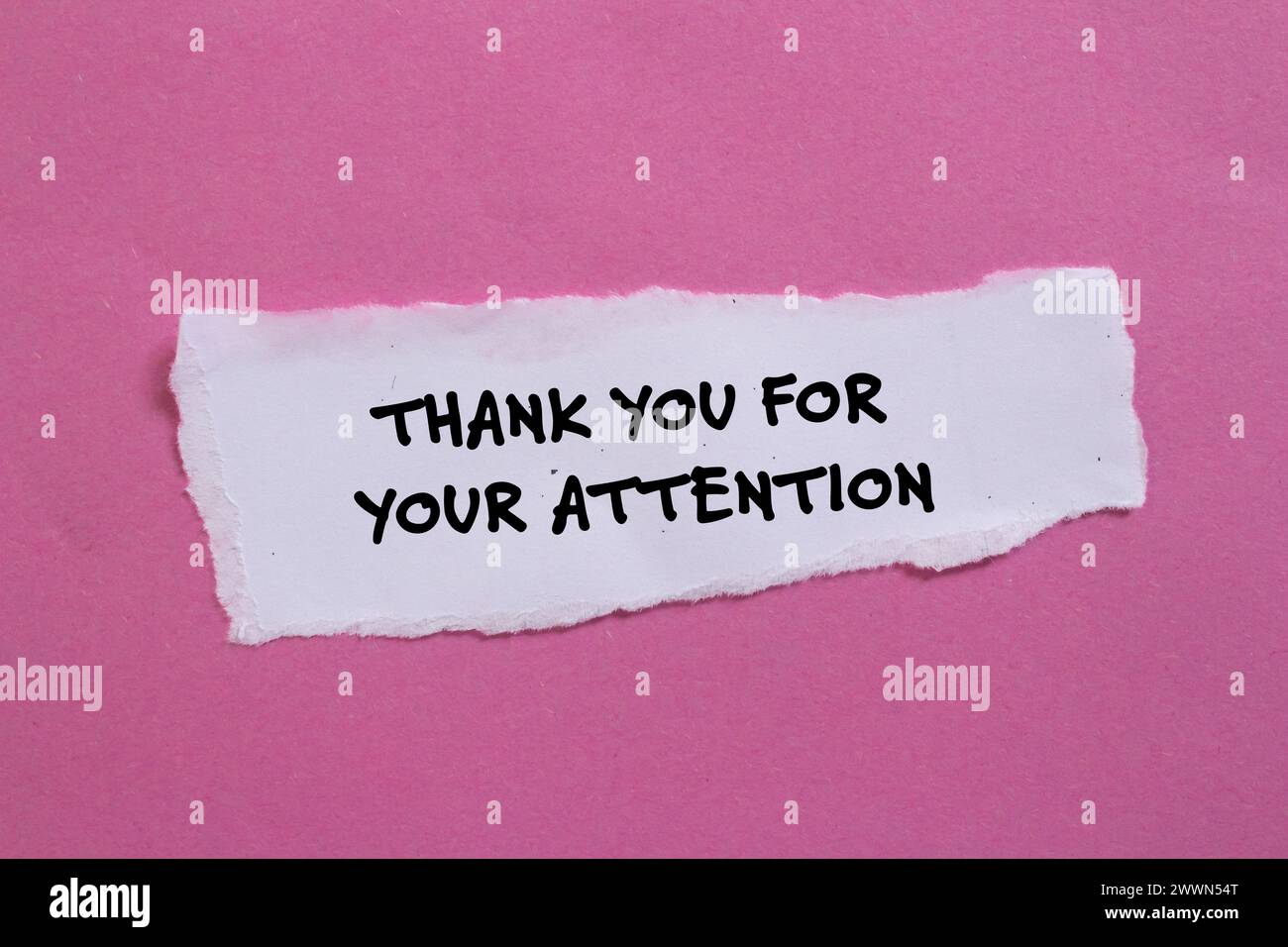 Thank You For Your Attention Any Questions Pink