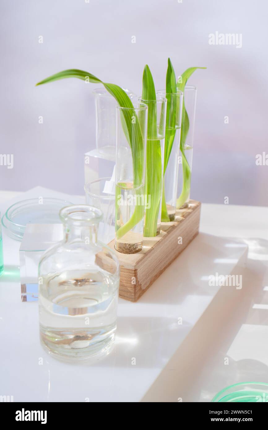Science and nature concept Stock Photo - Alamy