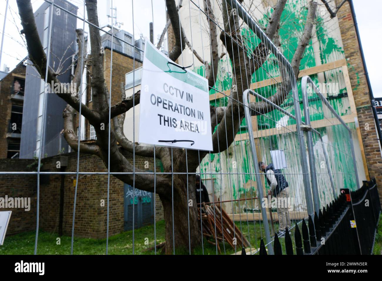 Hornsey, London, UK. 25th Mar 2024. The 'Banksy' tree artwork in ...