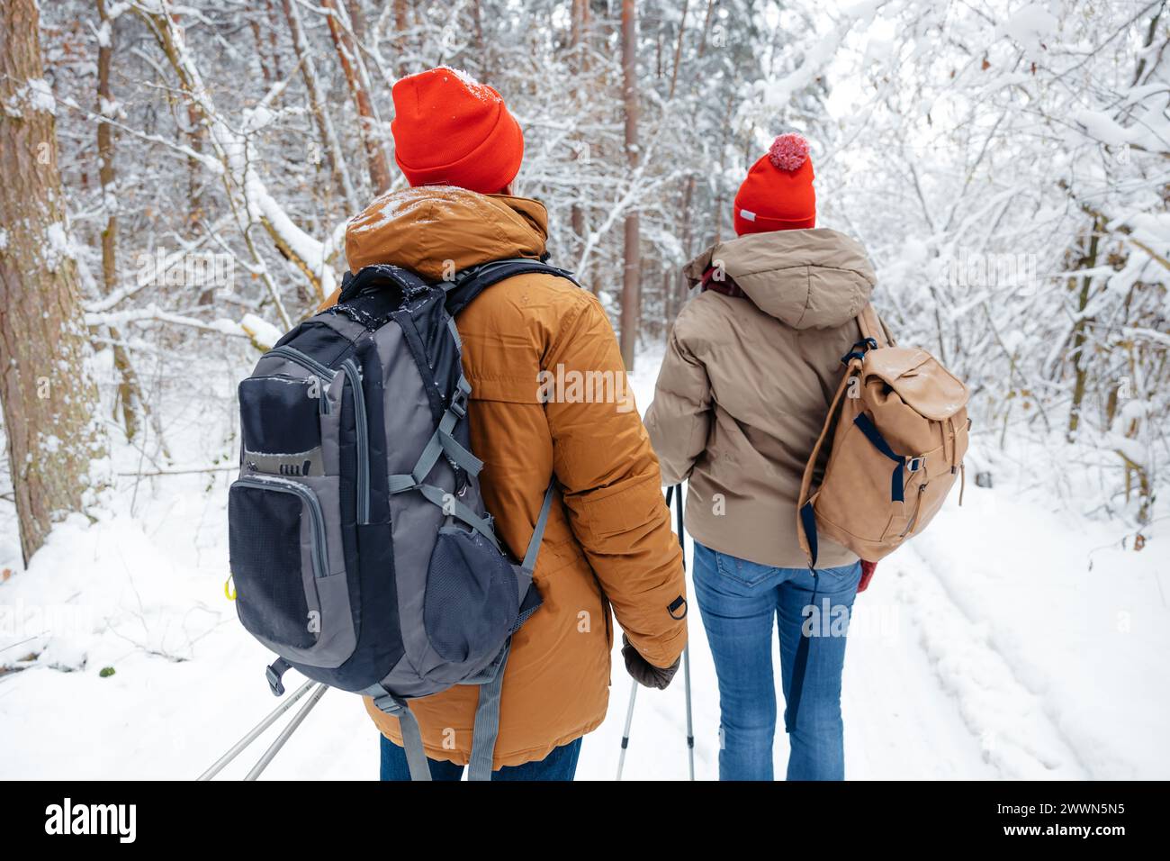 Two people with backpacks and scandinavian sticks in a forest Stock ...