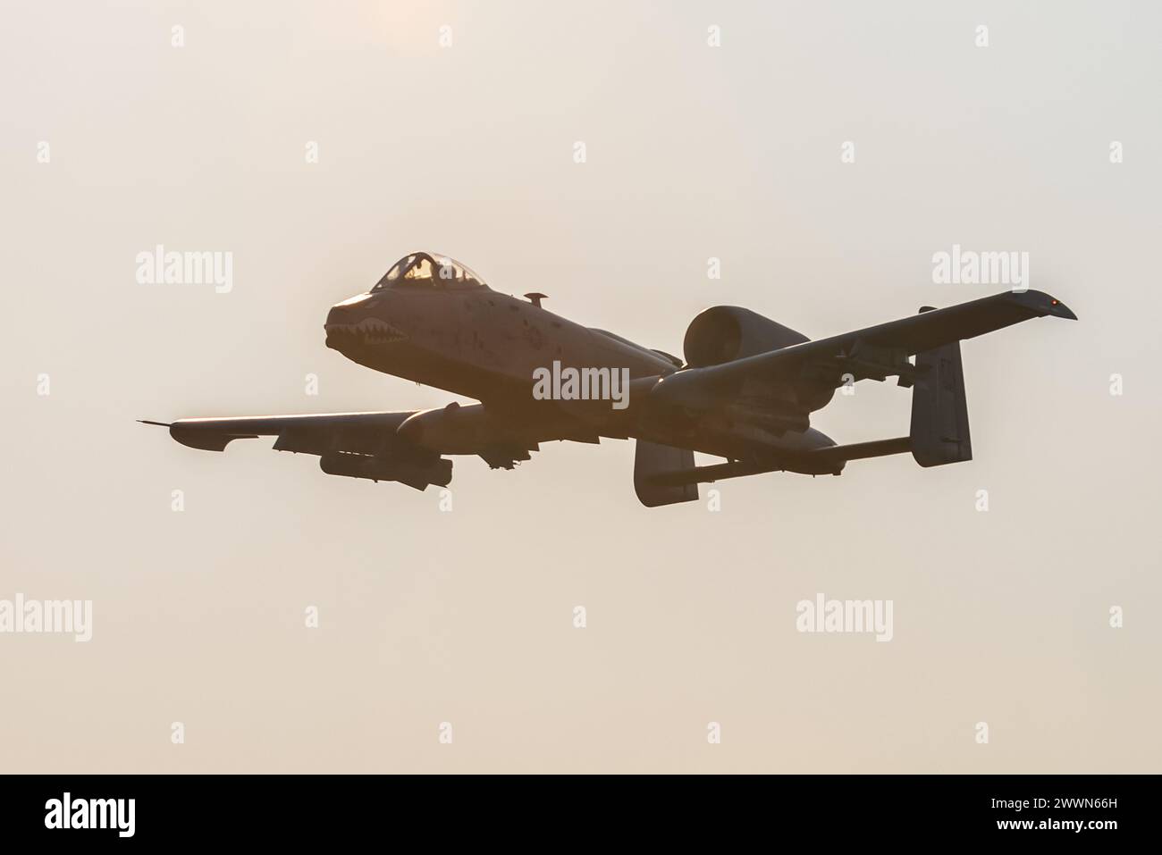 A U.S. Air Force A-10C Thunderbolt II with 74th Attack Squadron, 23rd ...