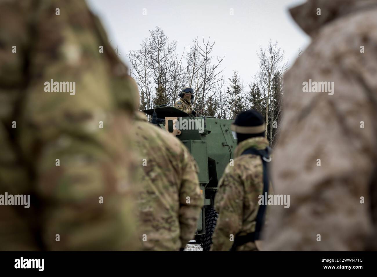 A U.S. Army soldier with Apex Battery, 17th Field Artillery Battalion ...