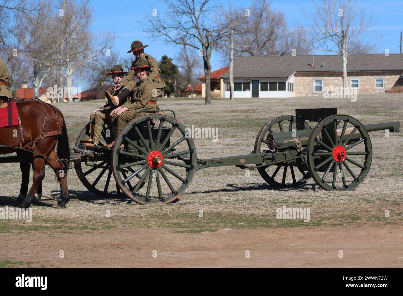 Half section horses hi-res stock photography and images - Alamy