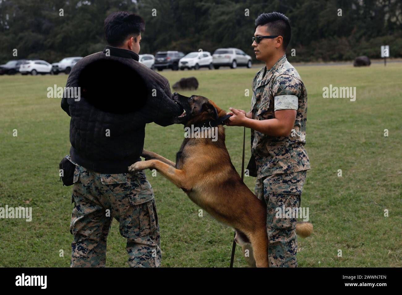 U.S. Marines with Headquarters Battalion, Marine Corps Base Hawaii ...