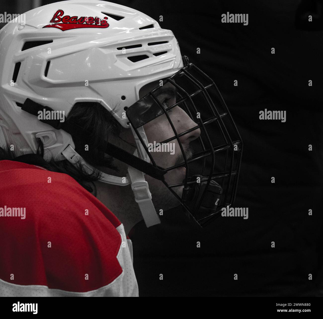 Ryan Monias, Minot State University Beavers forward, looks at the ...