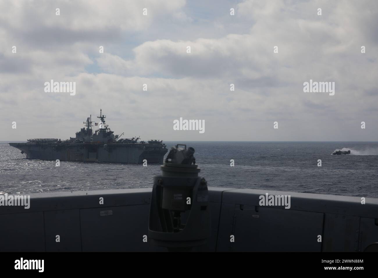 Turkish wasp hi-res stock photography and images - Alamy