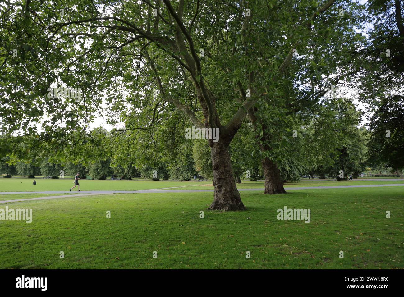 Greenwich park playground hi-res stock photography and images - Alamy